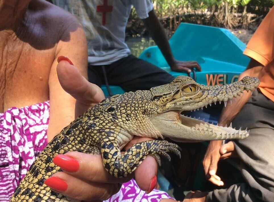 Beach Tour In Sri Lanka ‐ South Coast | Best Beach Vacations | Ample Tours